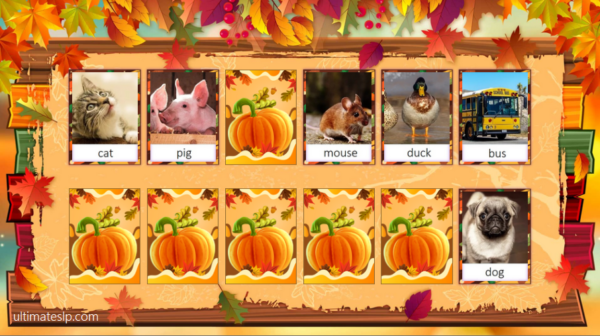 Find the Turkey Card Game with All Card Decks - Ultimate SLP