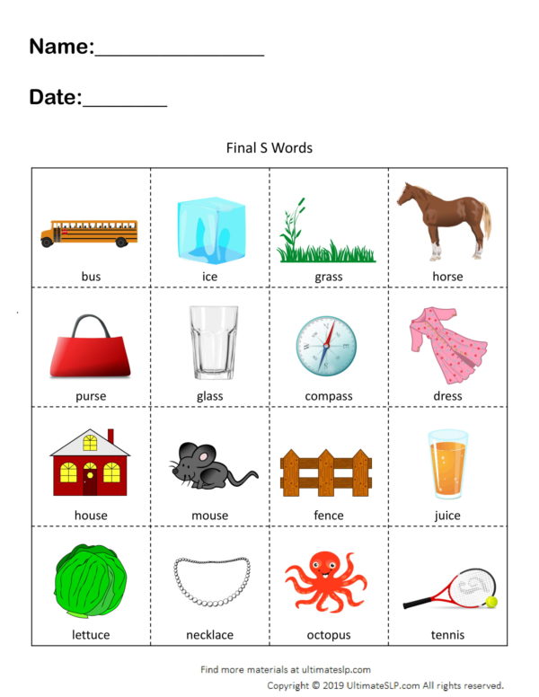 Final S Words Worksheet Ultimate SLP