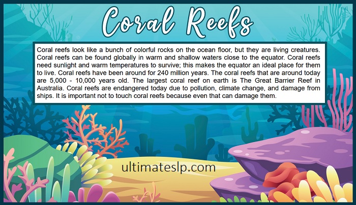 Factual Paragraphs - Coral Reefs (wh questions, story retell ...