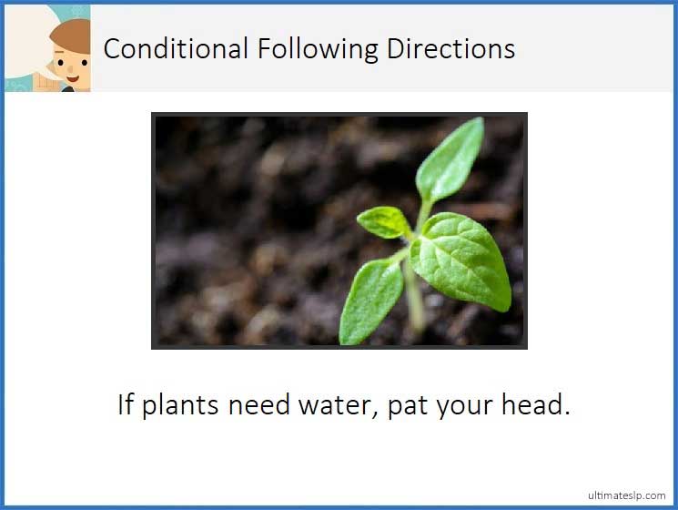 Conditional Following Directions Cards - Ultimate SLP