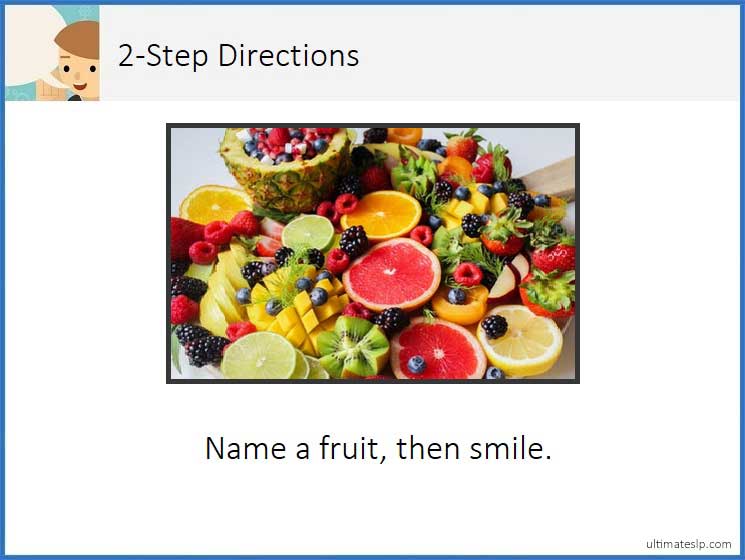 Following 2 Step Directions Cards - Ultimate SLP