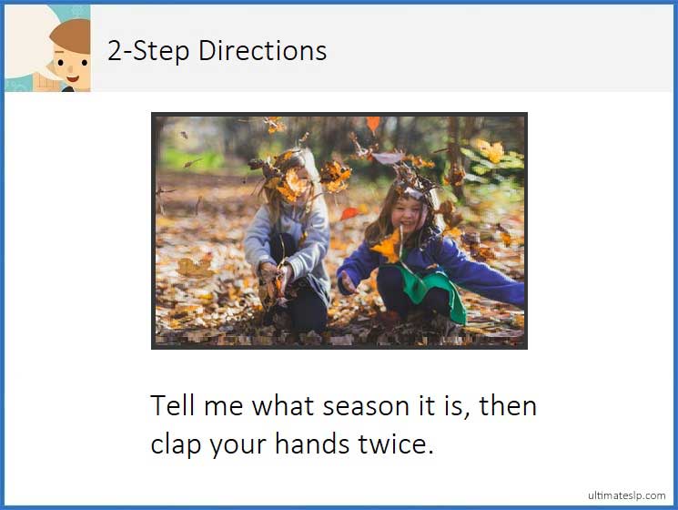 Following 2 Step Directions Cards - Ultimate SLP
