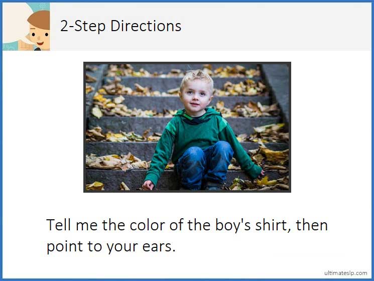 Following 2 Step Directions Cards - Ultimate SLP