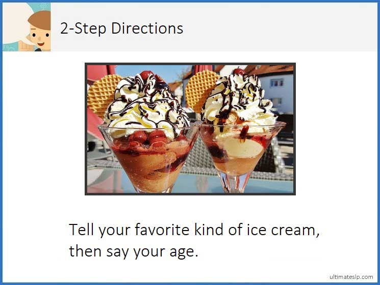 Following 2 Step Directions Cards - Ultimate SLP