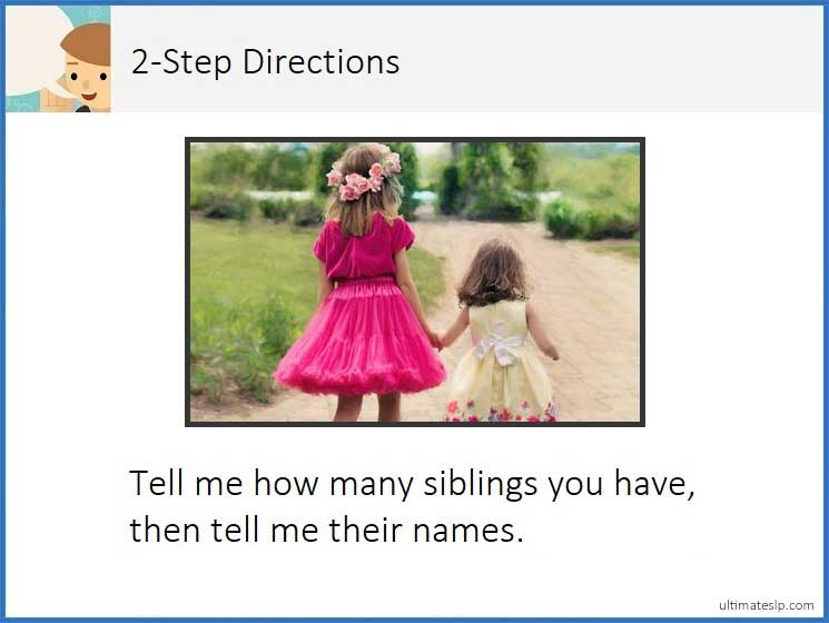 Following 2 Step Directions Cards - Ultimate SLP