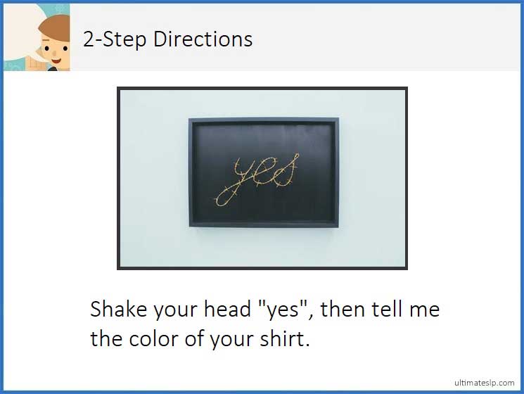 Following 2 Step Directions Cards - Ultimate SLP