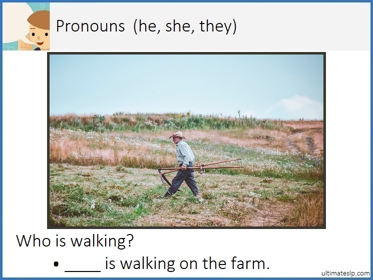Pronouns Cards - Ultimate SLP