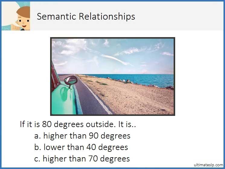 Semantic Relationships Cards - Ultimate SLP