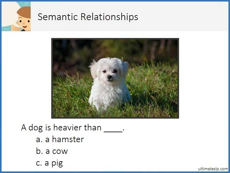Semantic Relationships Cards - Ultimate SLP