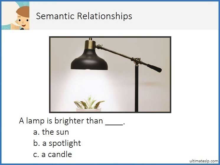 Semantic Relationships Cards - Ultimate SLP