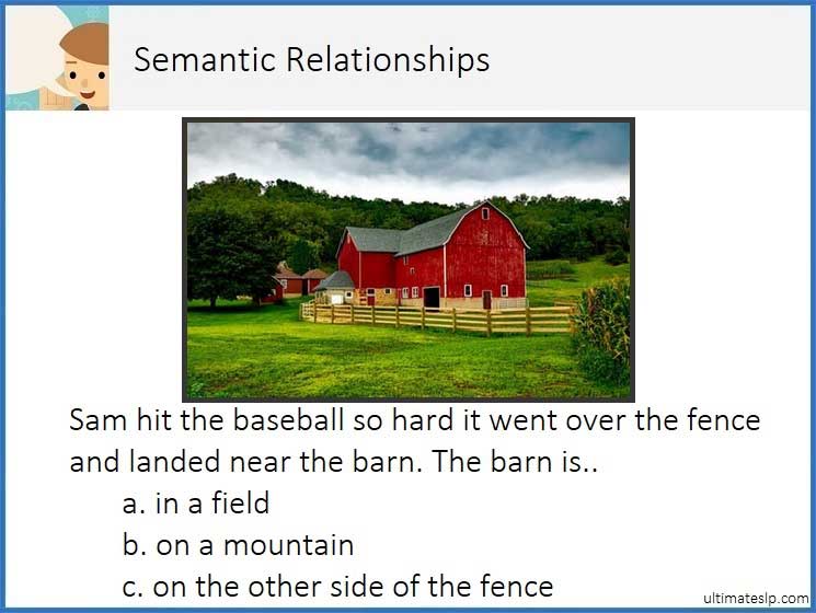 Semantic Relationships Cards - Ultimate SLP