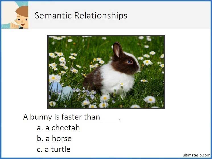 Semantic Relationships Cards - Ultimate SLP