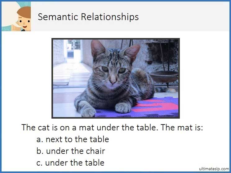 Semantic Relationships Cards - Ultimate SLP