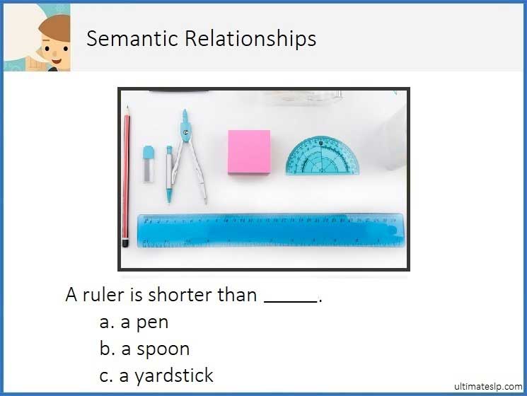 Semantic Relationships Cards - Ultimate SLP