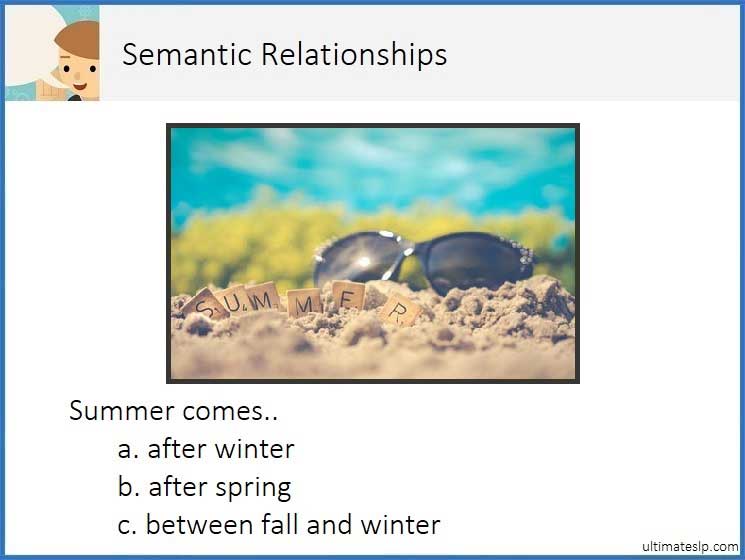 Semantic Relationships Cards - Ultimate SLP