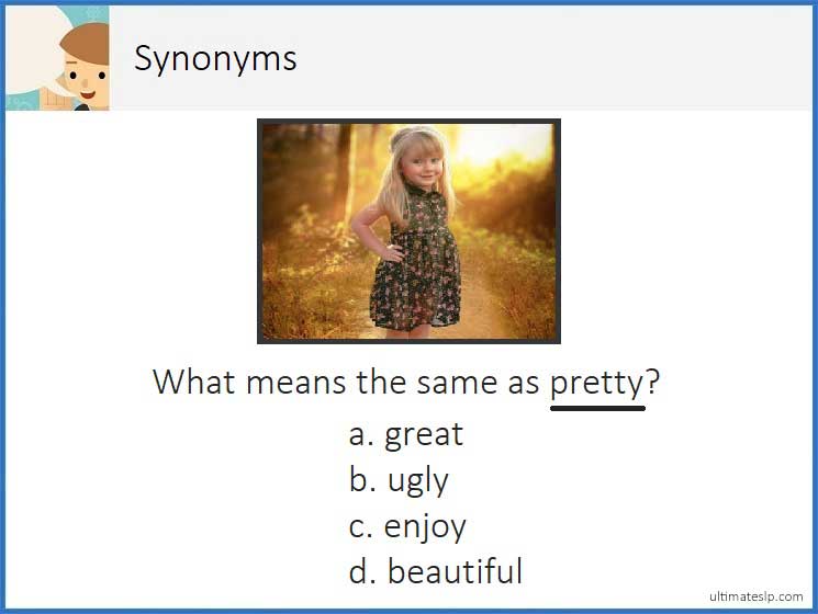 Synonyms Level 1 Cards - Ultimate SLP