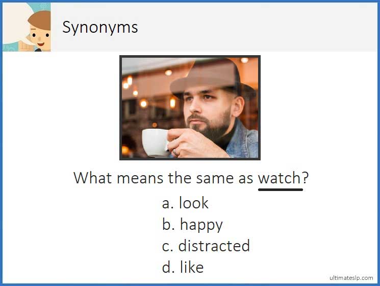Synonyms Level 1 Cards - Ultimate SLP