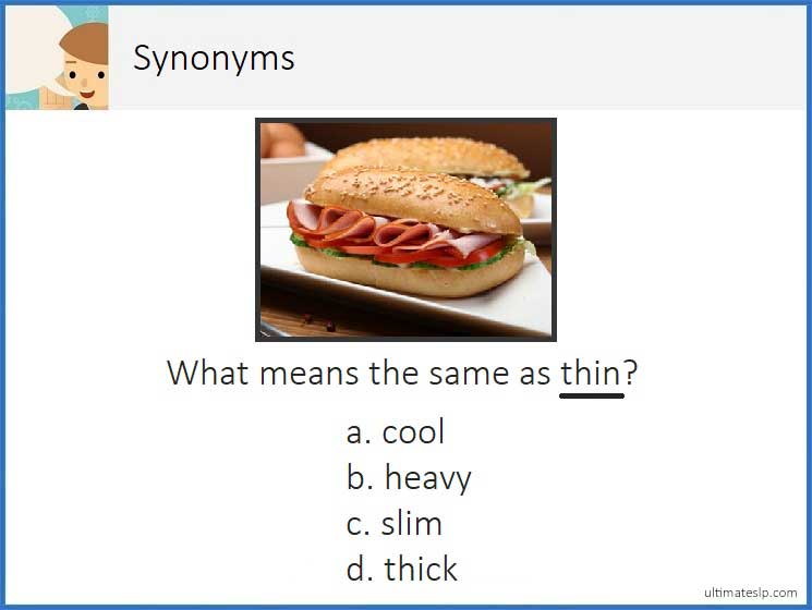 Synonyms Level 1 Cards - Ultimate SLP