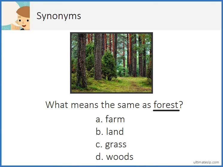Synonyms Level 1 Cards - Ultimate SLP