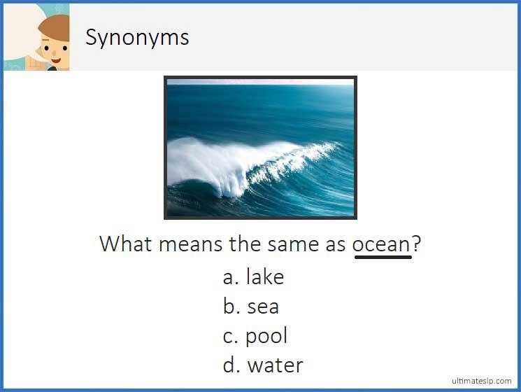 Synonyms Level 1 Cards - Ultimate SLP