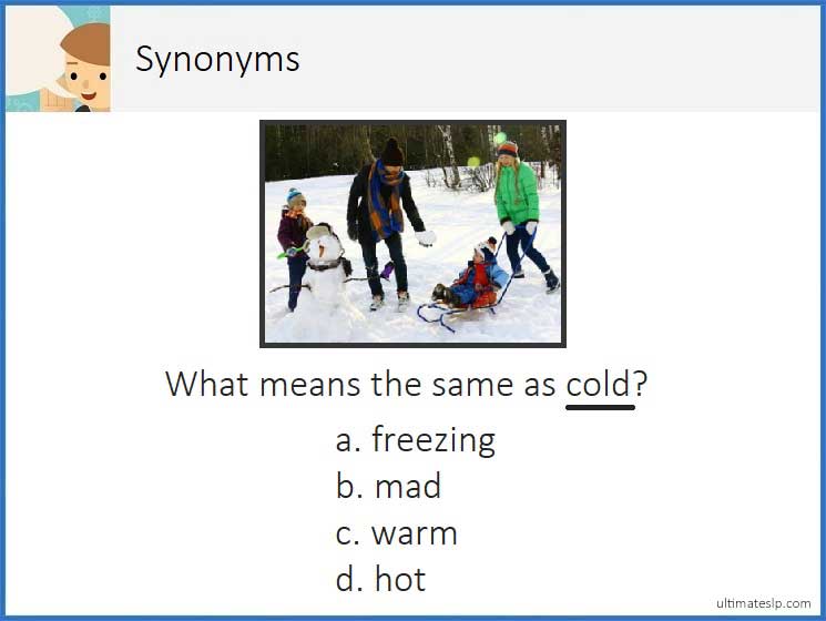 Synonyms Level 1 Cards - Ultimate SLP