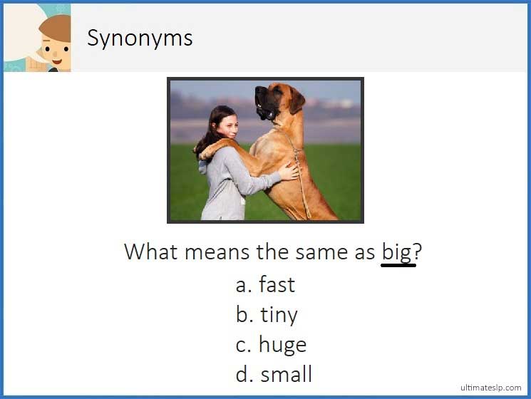 Synonyms Level 1 Cards - Ultimate SLP