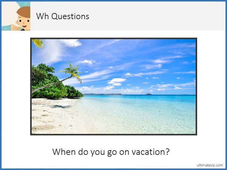 Wh- Question Cards (who, what, where, when) - Ultimate SLP