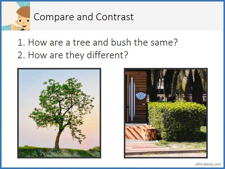 Compare and Contrast Cards - Ultimate SLP